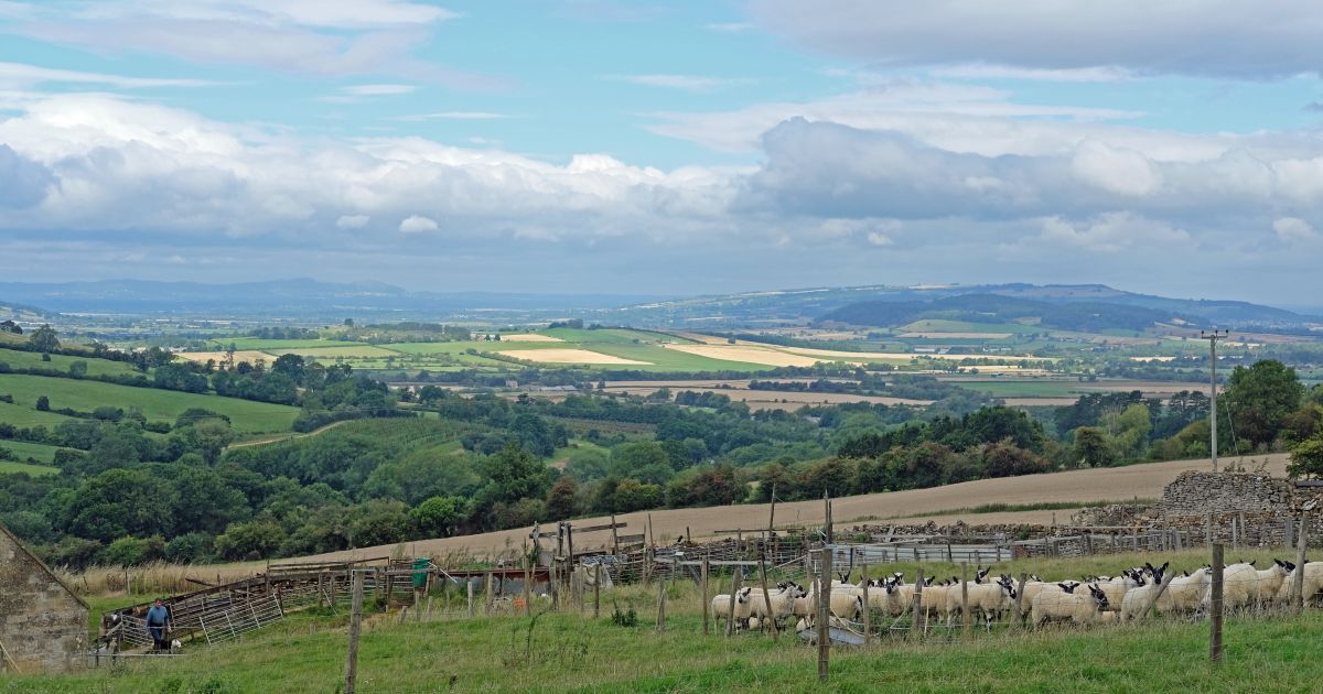 A Winchcombe Round: Hailes, Farmcote & Sudeley - Ramblers